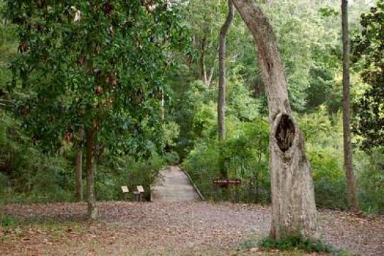 Campground Details - Fort Morris State Historic Site, GA - Georgia ...
