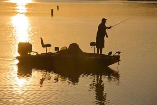 Campground Details - Tugaloo State Park, GA - Georgia State Parks ...